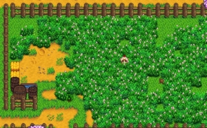 【Stardew Valley】多機能な牧場敷地拡張MOD「Immersive Farm 2 Fix」 | 人形は四畳半で夢をみる