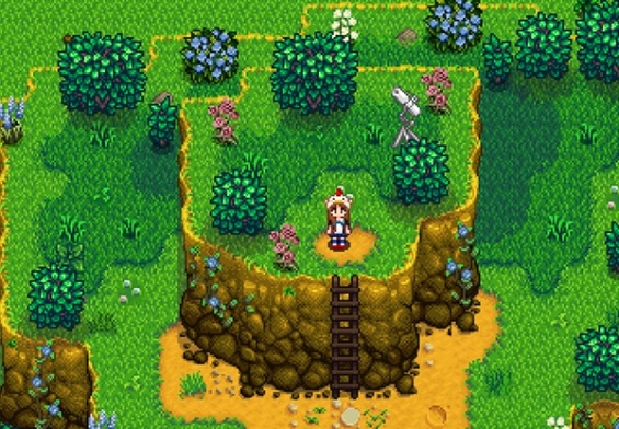 【Stardew Valley】多機能な牧場敷地拡張MOD「Immersive Farm 2 Fix」 | 人形は四畳半で夢をみる