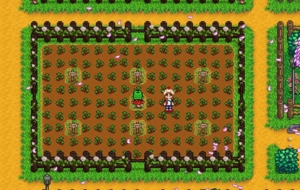 【Stardew Valley】多機能な牧場敷地拡張MOD「Immersive Farm 2 Fix」 | 人形は四畳半で夢をみる